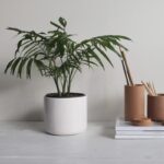 CaptainDMA: Unmatched DMA Fuser for High-Speed Data Transfer